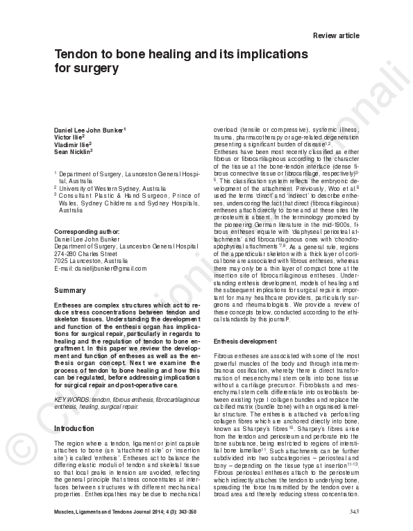(PDF) Tendon to bone healing and its implications for surgery