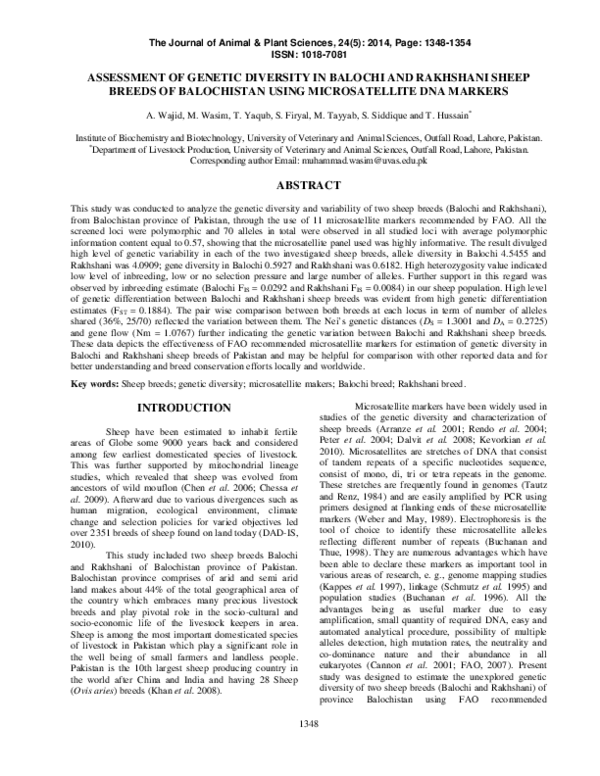(PDF) Assessment of Genetic Diversity in Balochi and Rakhshani Sheep Breeds of Balochistan Using ...