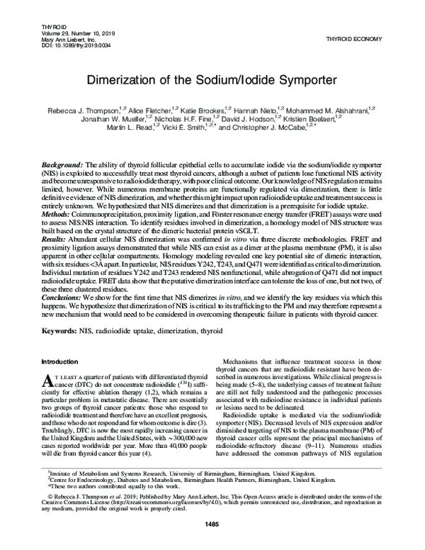 (PDF) Dimerization of the Sodium/Iodide Symporter