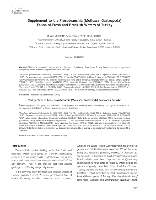 (PDF) Supplement to the Prosobranchia (Mollusca: Gastropoda) Fauna of ...