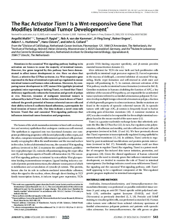 (PDF) The Rac Activator Tiam1 Is a Wnt-responsive Gene That Modifies ...