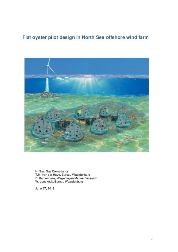 (PDF) Flat oyster pilot design in North Sea offshore wind farm