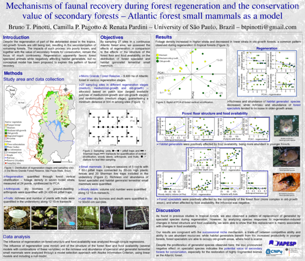 (PDF) Mechanisms of faunal recovery during forest regeneration and the ...