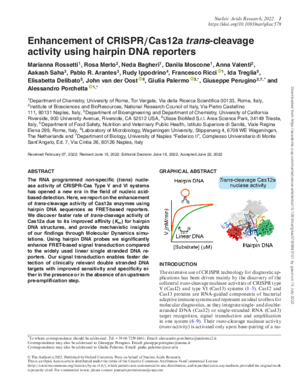 Pdf Enhancement Of Crispr Cas12a Trans Cleavage Activity Using