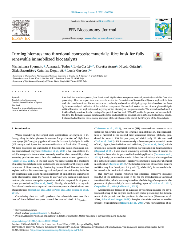 (PDF) Turning biomass into functional composite materials: Rice husk for fully renewable ...