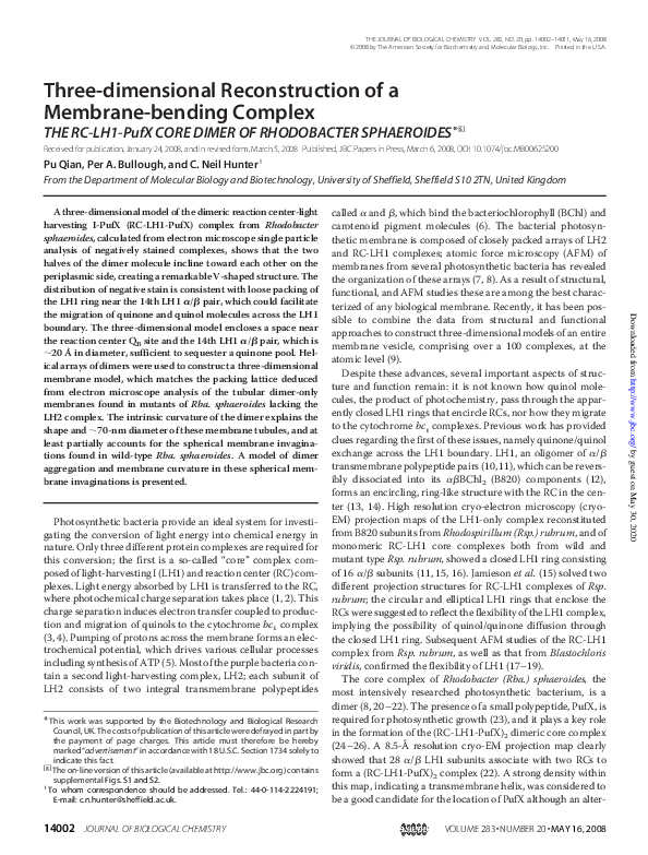 (PDF) Three-dimensional Reconstruction of a Membrane-bending Complex ...