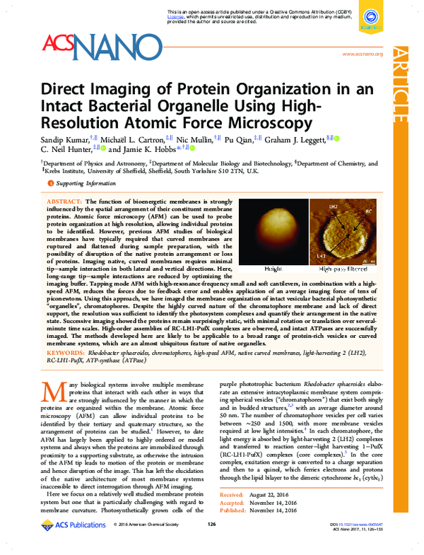 (PDF) Direct Imaging of Protein Organization in an Intact Bacterial Organelle Using High ...