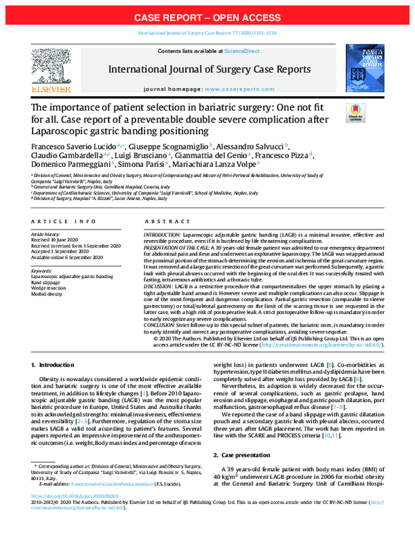 (PDF) The importance of patient’ selection in bariatric surgery: One ...