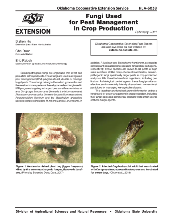 (PDF) Fungi used for pest management in crop production