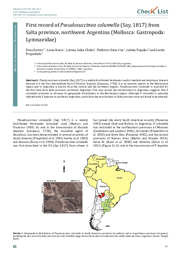 (PDF) First record of Pseudosuccinea columella (Say, 1817) from Salta ...