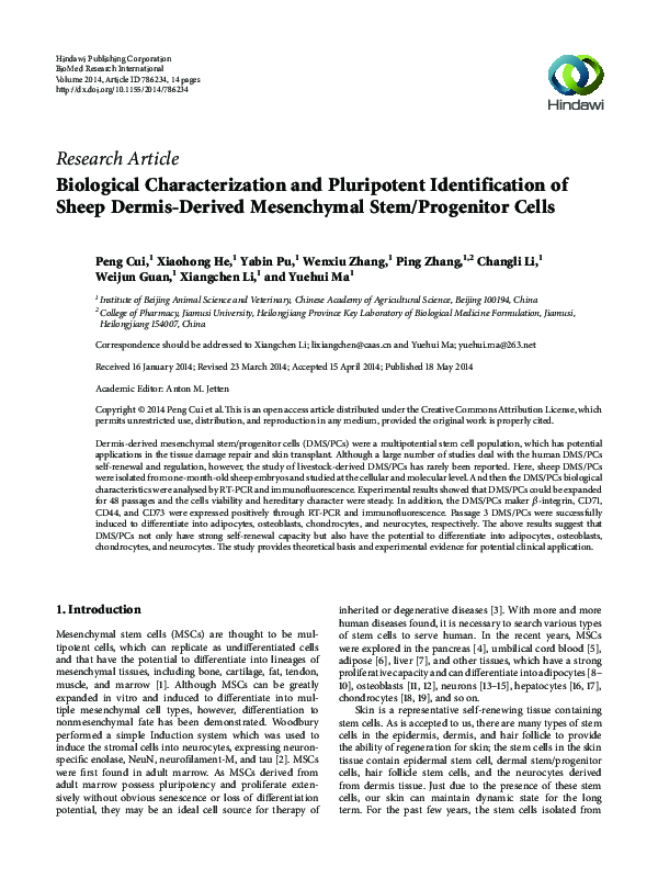 (PDF) Biological characterization and pluripotent identification of ...