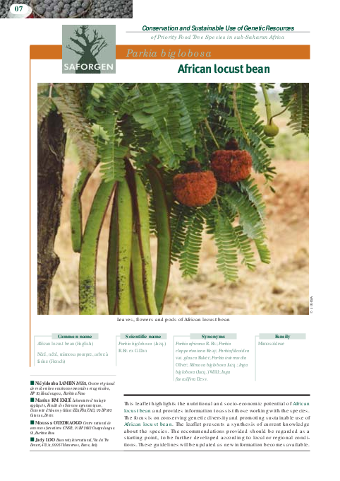 (PDF) African locust bean (Parkia biglobosa)