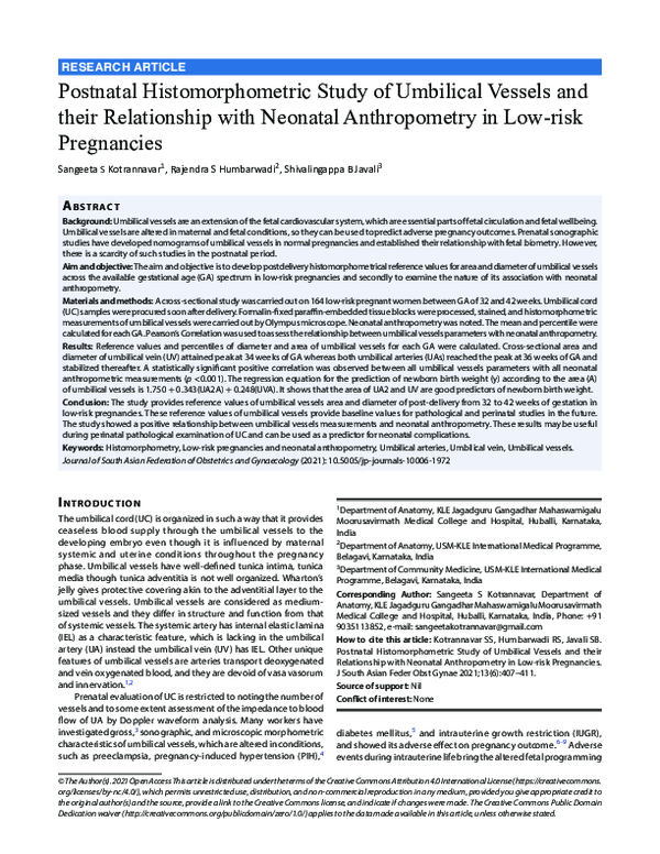 (PDF) Postnatal Histomorphometric Study of Umbilical Vessels and their ...