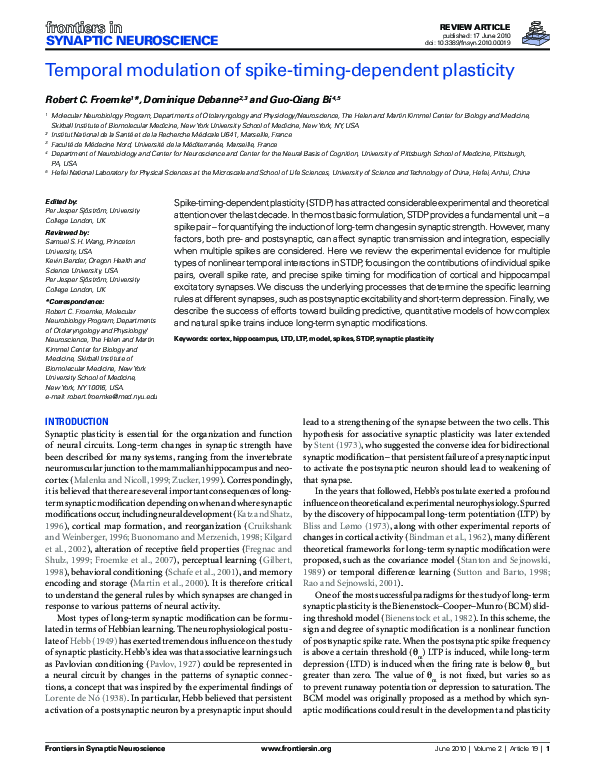 (PDF) Temporal modulation of spike-timing-dependent plasticity