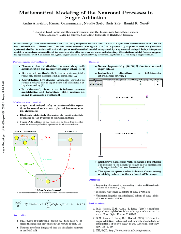 Pdf Mathematical Modeling Of The Neuronal Processes In Sugar Addiction