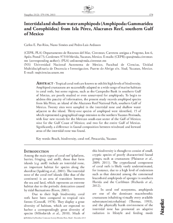 (PDF) Intertidal and shallow water amphipods (Amphipoda: Gammaridea and ...