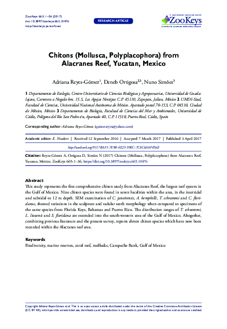 (PDF) Chitons of Alacranes Reef, Gulf of Mexico: Species and Morphology