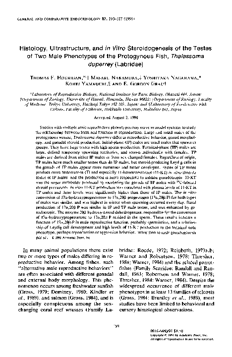 (PDF) Histology, ultrastructure, and in vitro steroidogenesis of the ...
