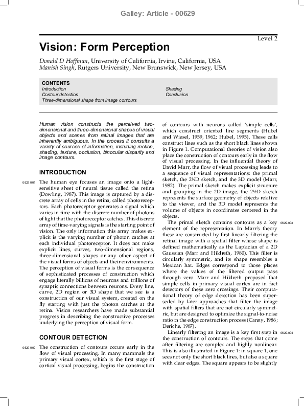 (PDF) Vision: Form Perception