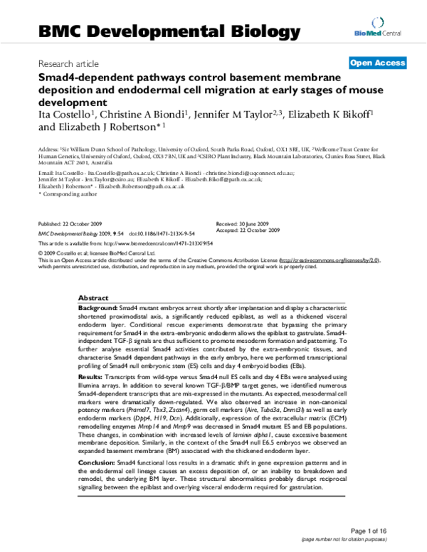 (PDF) BMC Developmental Biology BioMed Central | Kerstin Rolfe ...