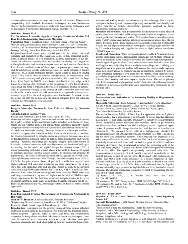 (PDF) Four Dimensional Traction Measurements of Chemotactic Neutrophils ...