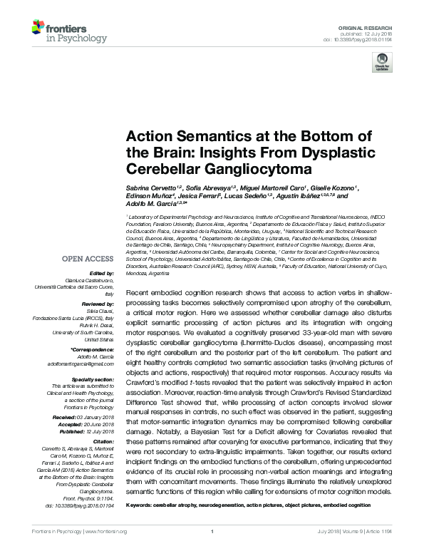 (PDF) Action Semantics at the Bottom of the Brain: Insights From ...