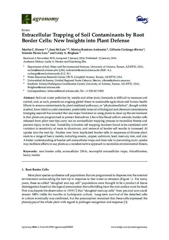 (PDF) Extracellular Trapping of Soil Contaminants by Root Border Cells ...