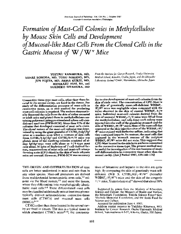 (PDF) Formation of mast-cell colonies in methylcellulose by mouse skin ...