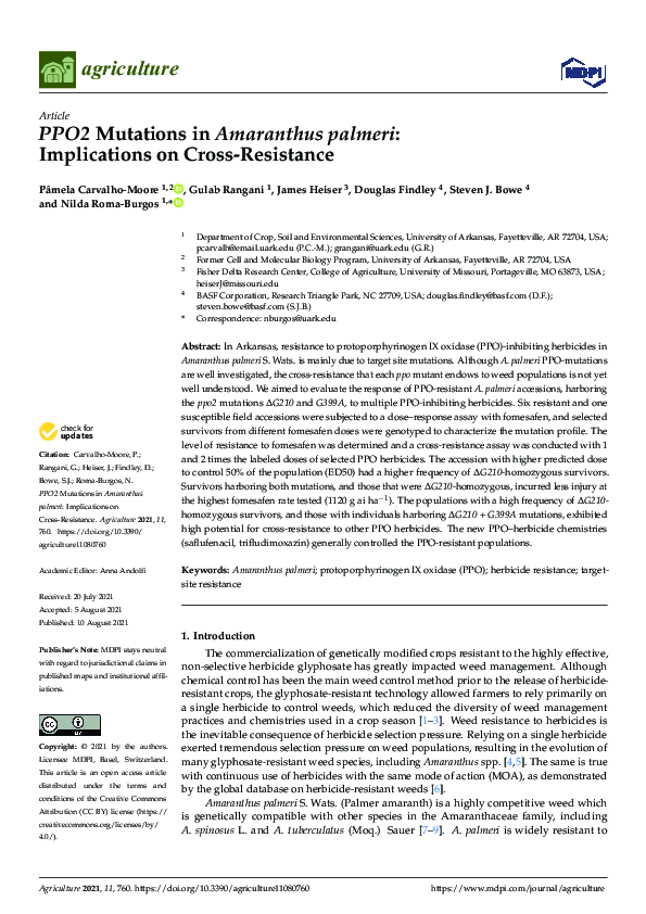 (PDF) PPO2 Mutations in Amaranthus palmeri: Implications on Cross ...