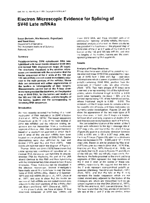 (PDF) Electron microscopic evidence for splicing of SV40 late mRNAs