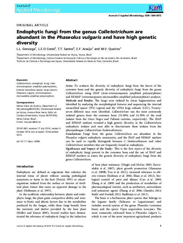 (PDF) Endophytic fungi from the genus Colletotrichum are abundant in the Phaseolus vulgaris and ...