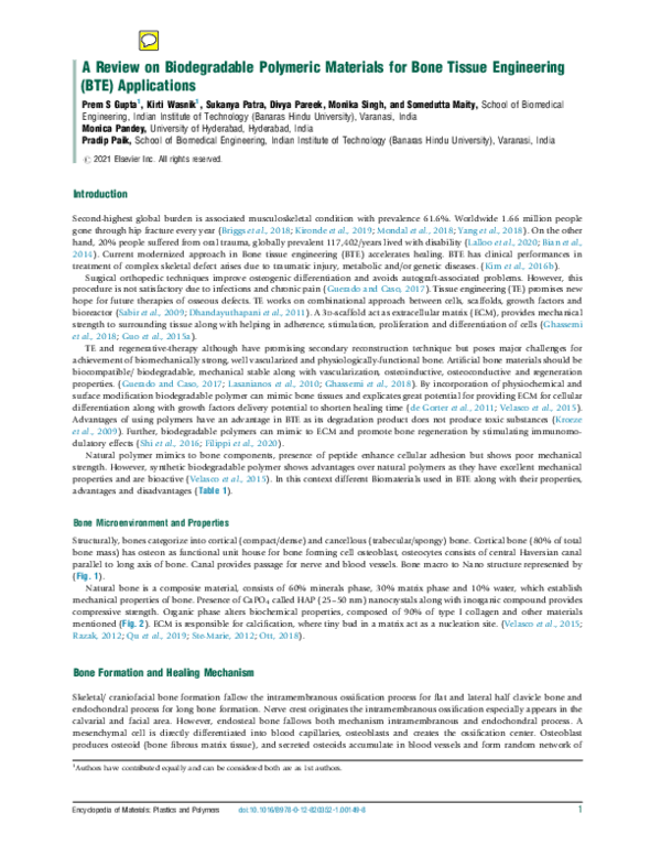 (PDF) A Review on Biodegradable Polymeric Materials for Bone Tissue Engineering (BTE) Applications