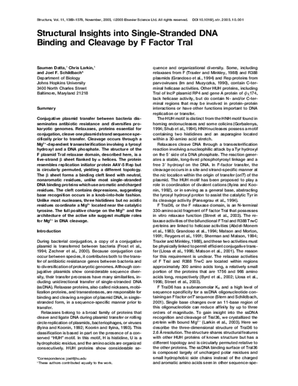 (PDF) Structural Insights into Single-Stranded DNA Binding and Cleavage ...