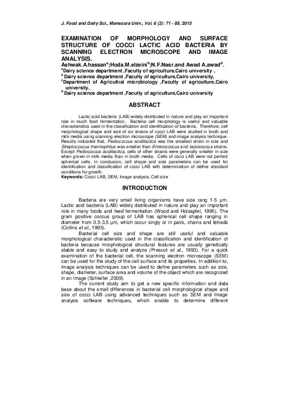(PDF) Examination of Morphology and Surface Structure of Cocci Lactic ...