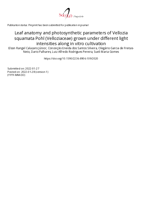 (PDF) Leaf anatomy and photosynthetic parameters of Vellozia squamata ...