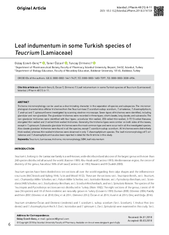 (PDF) Leaf indumentum in some Turkish species of Teucrium (Lamiaceae)