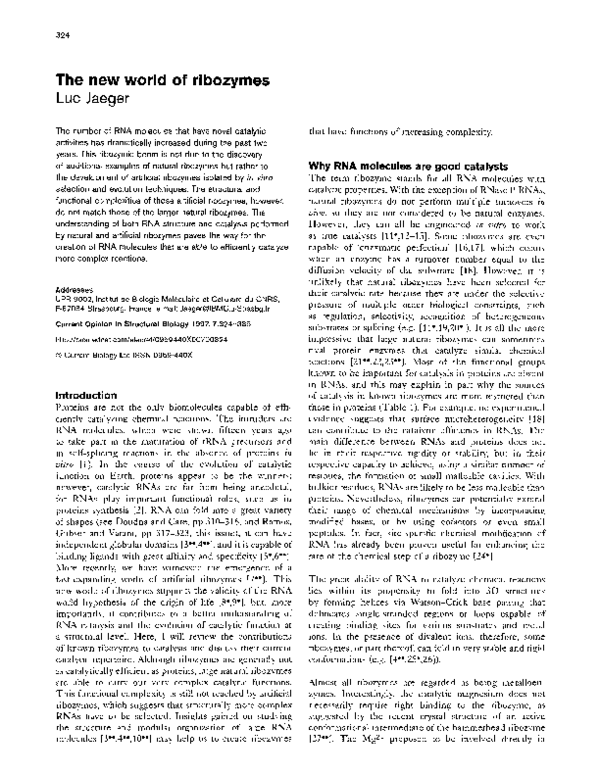 (PDF) The new world of ribozymes