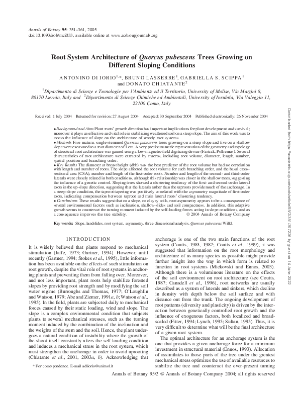 Pdf Root System Architecture Of Quercus Pubescens Trees Growing On Different Sloping