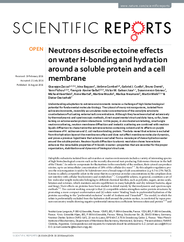 (PDF) Neutrons describe ectoine effects on water H-bonding and ...