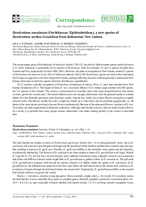 (PDF) Dendrobium annulatum (Orchidaceae: Epidendroideae), a new species ...