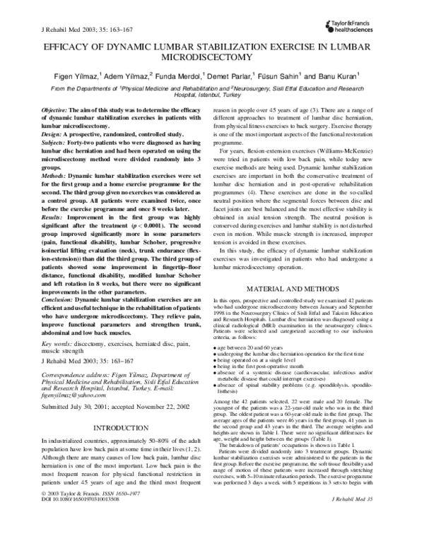 (PDF) Efficacy of Dynamic Lumbar Stabilization Exercise in Lumbar ...