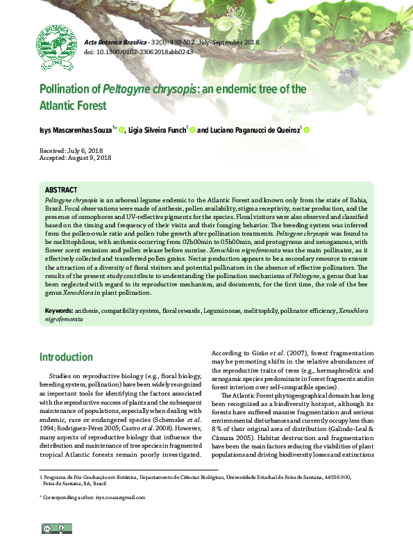 (PDF) Pollination of Peltogyne chrysopis: an endemic tree of the ...