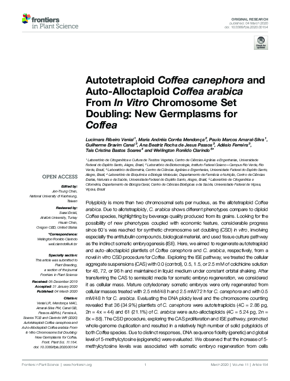 (PDF) Autotetraploid Coffea canephora and Auto-Alloctaploid Coffea ...