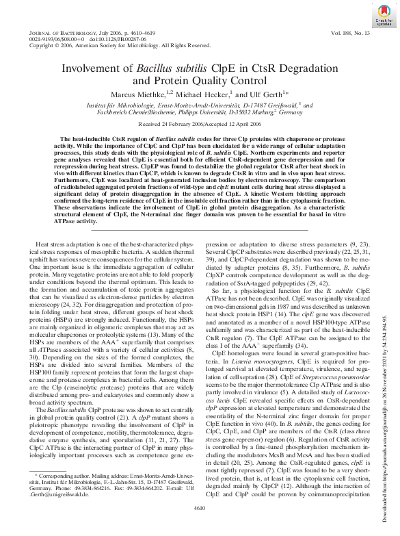 (PDF) Involvement of Bacillus subtilis ClpE in CtsR Degradation and Protein Quality Control