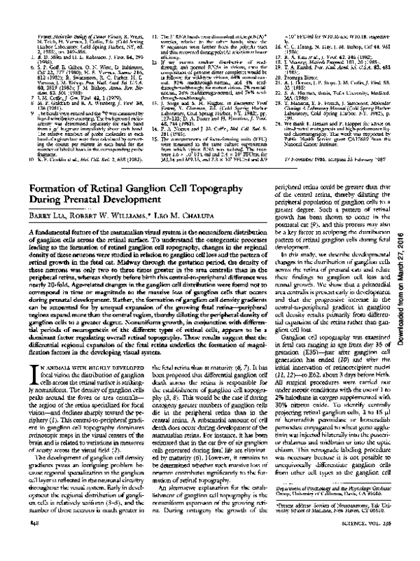 (PDF) Formation of Retinal Ganglion Cell Topography During Prenatal ...