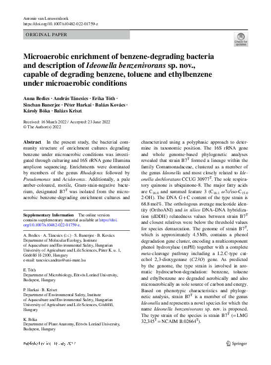 (PDF) Microaerobic enrichment of benzene-degrading bacteria and ...