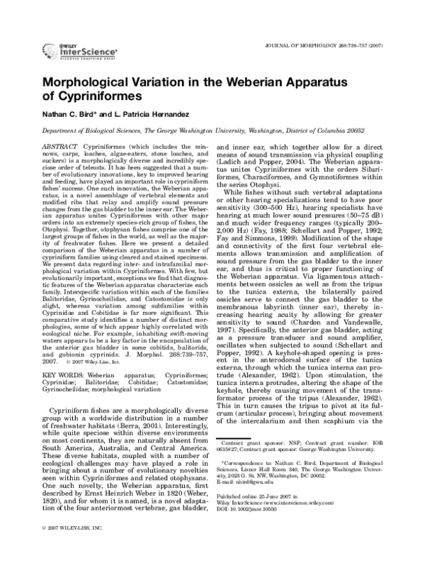 (PDF) Morphological variation in the Weberian apparatus of Cypriniformes