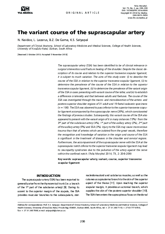 (PDF) The variant course of the suprascapular artery