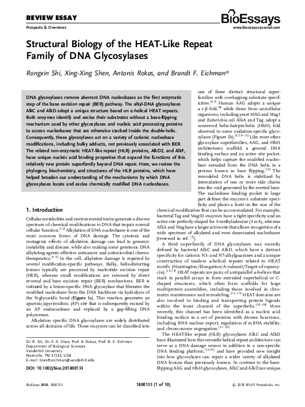 (PDF) HEAT-Like Repeat DNA Glycosylases Overview