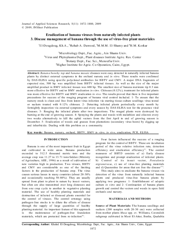 (PDF) Eradication of banana viruses from naturally infected plants 3 ...